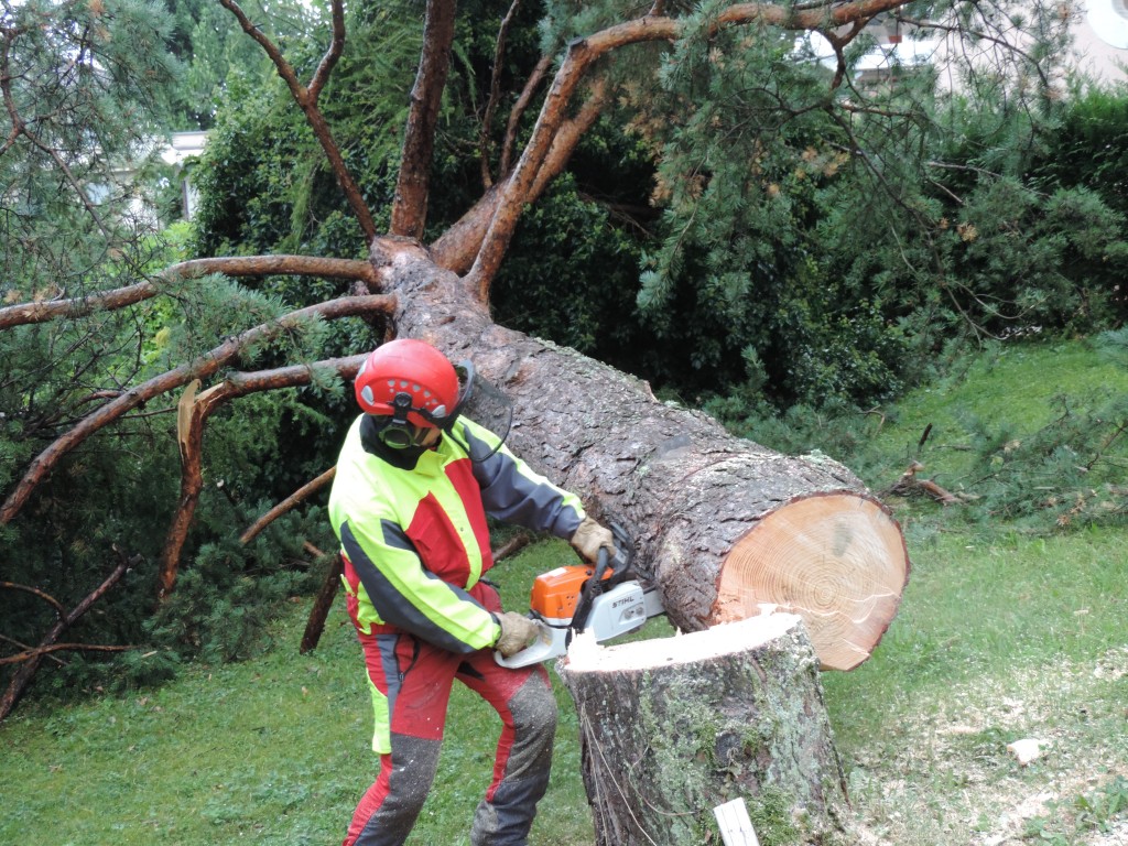 Abattage arbre Vaud - Arbre Impec à Lausanne